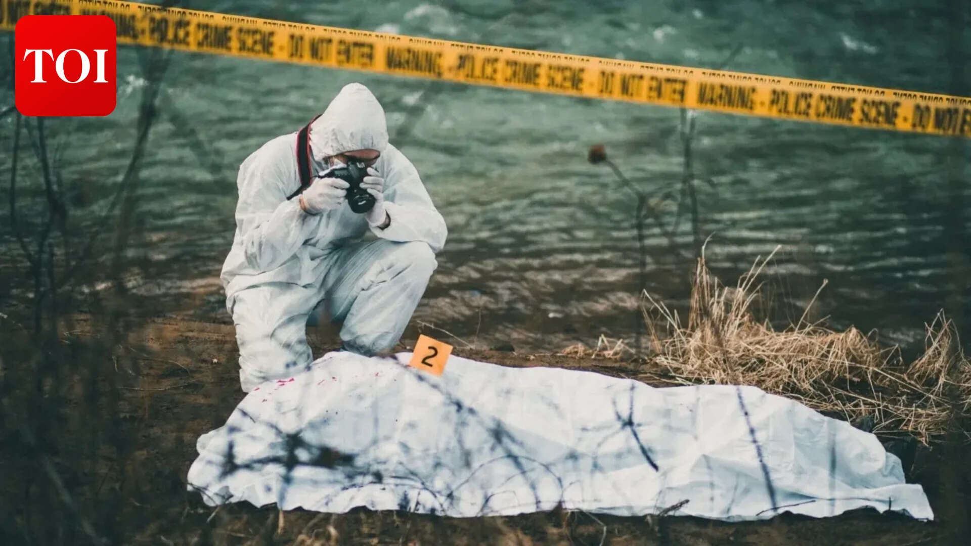Mystery behind human remains found at Olympic National Park finally solved