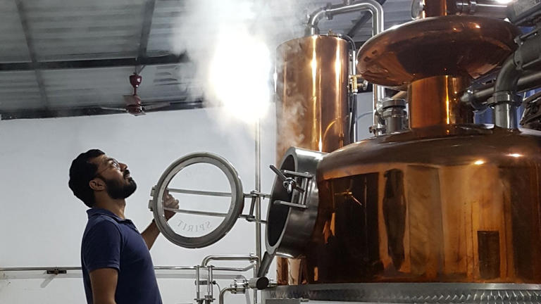 Deodar, palash and Himalayan juniper: Indian gins are making local ...