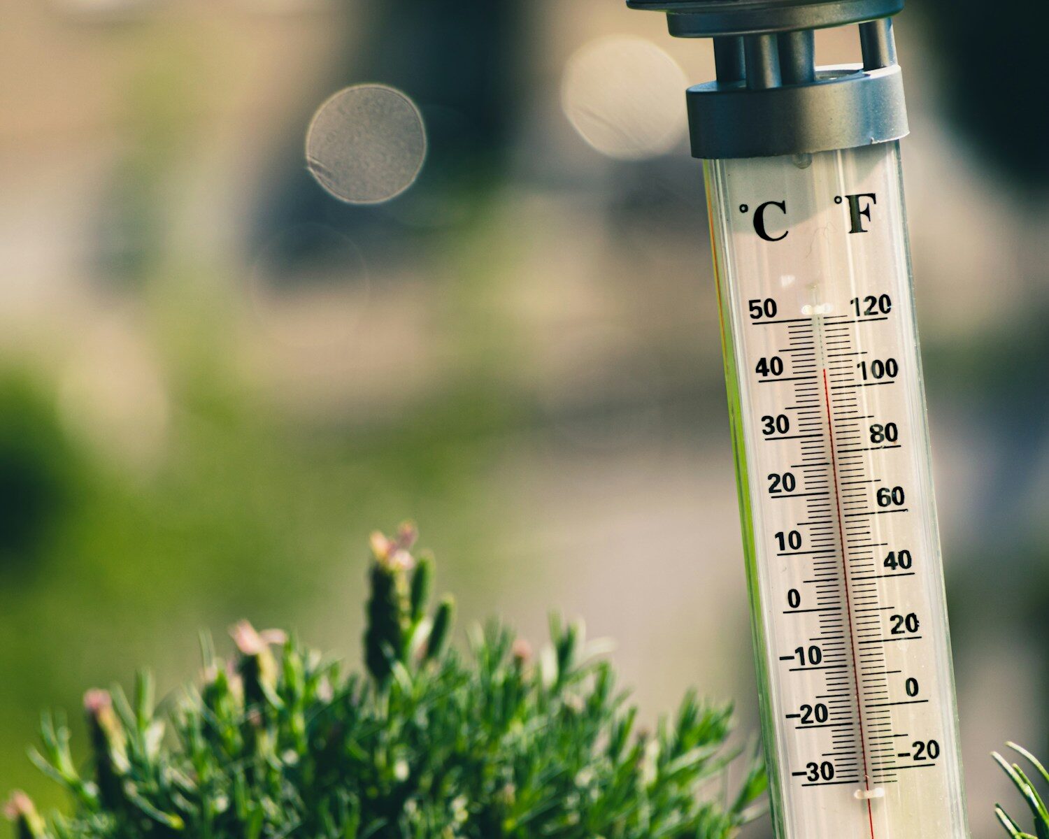 Spring temperatures plummet in dozens of US counties this year