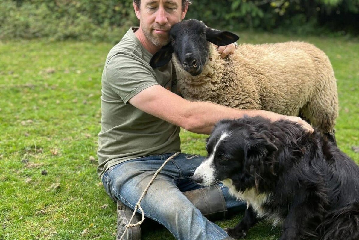 Sheepdog reported to RSPCA – for rounding up her owner’s flock