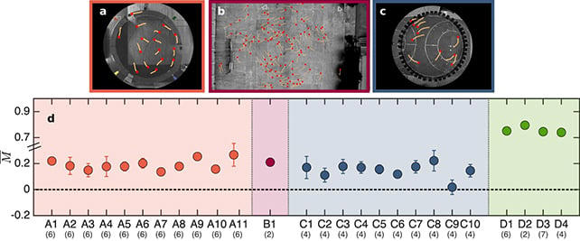 Scientists discover a strange global pattern in the way humans walk