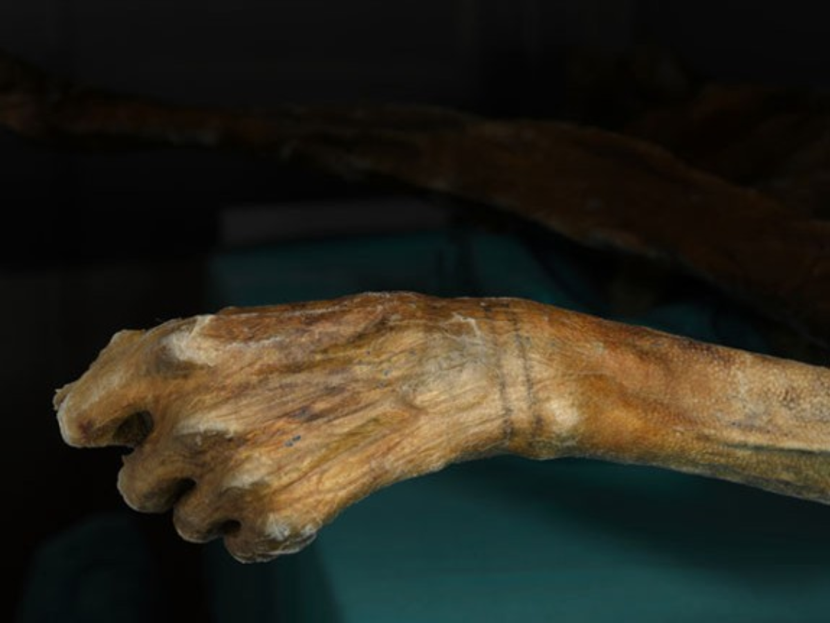 In 1991, hikers found a frozen body in the Alps: Decades later ...