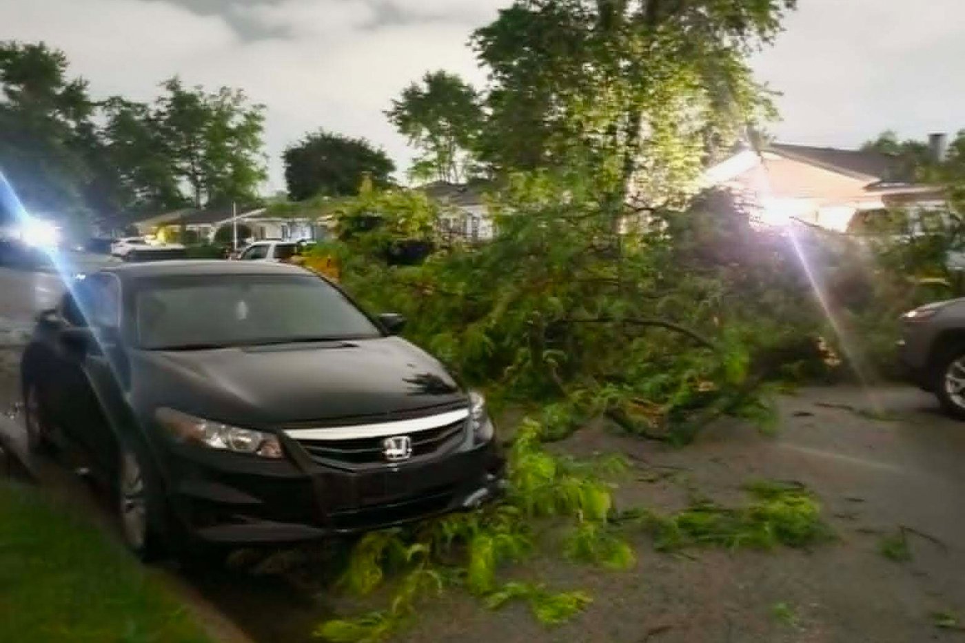 Officials search tornado-damaged areas after strong storms hit Illinois ...