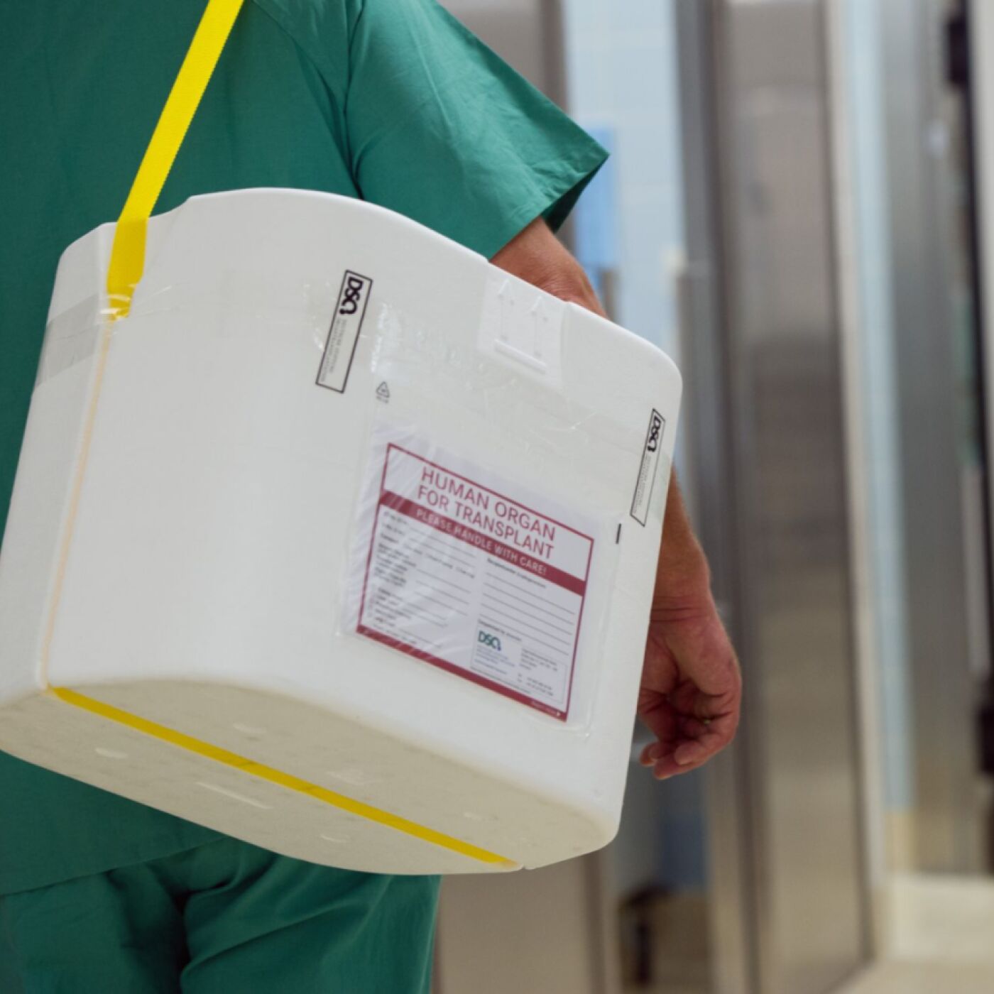 Berufsverbote nach Tod von transplantiertem Kind in Neapel