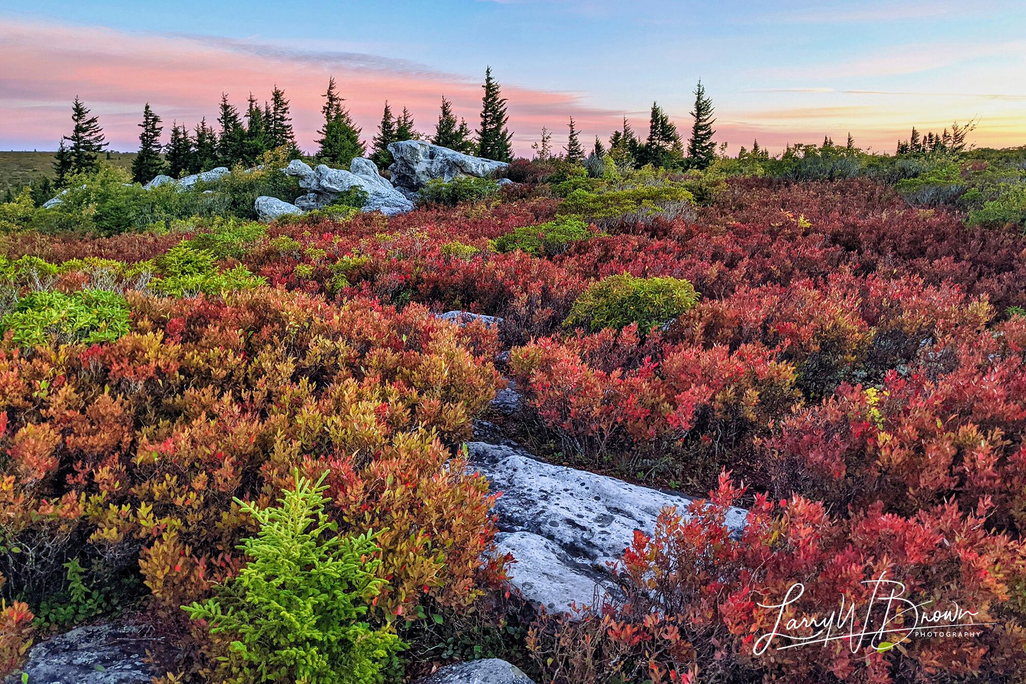 Forest Road 19 will be closed, limiting access to Dolly Sods