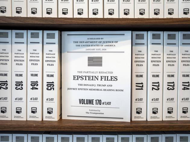 Fall Jeffrey Epstein: Was geschah mit Michele?