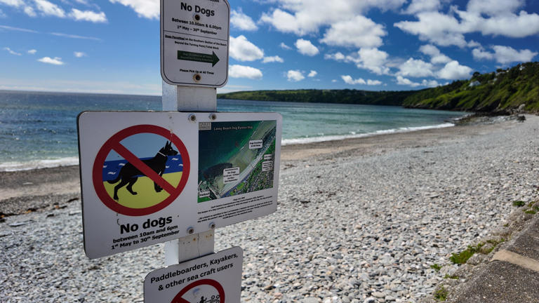 Dog poo warden being considered in Manx area