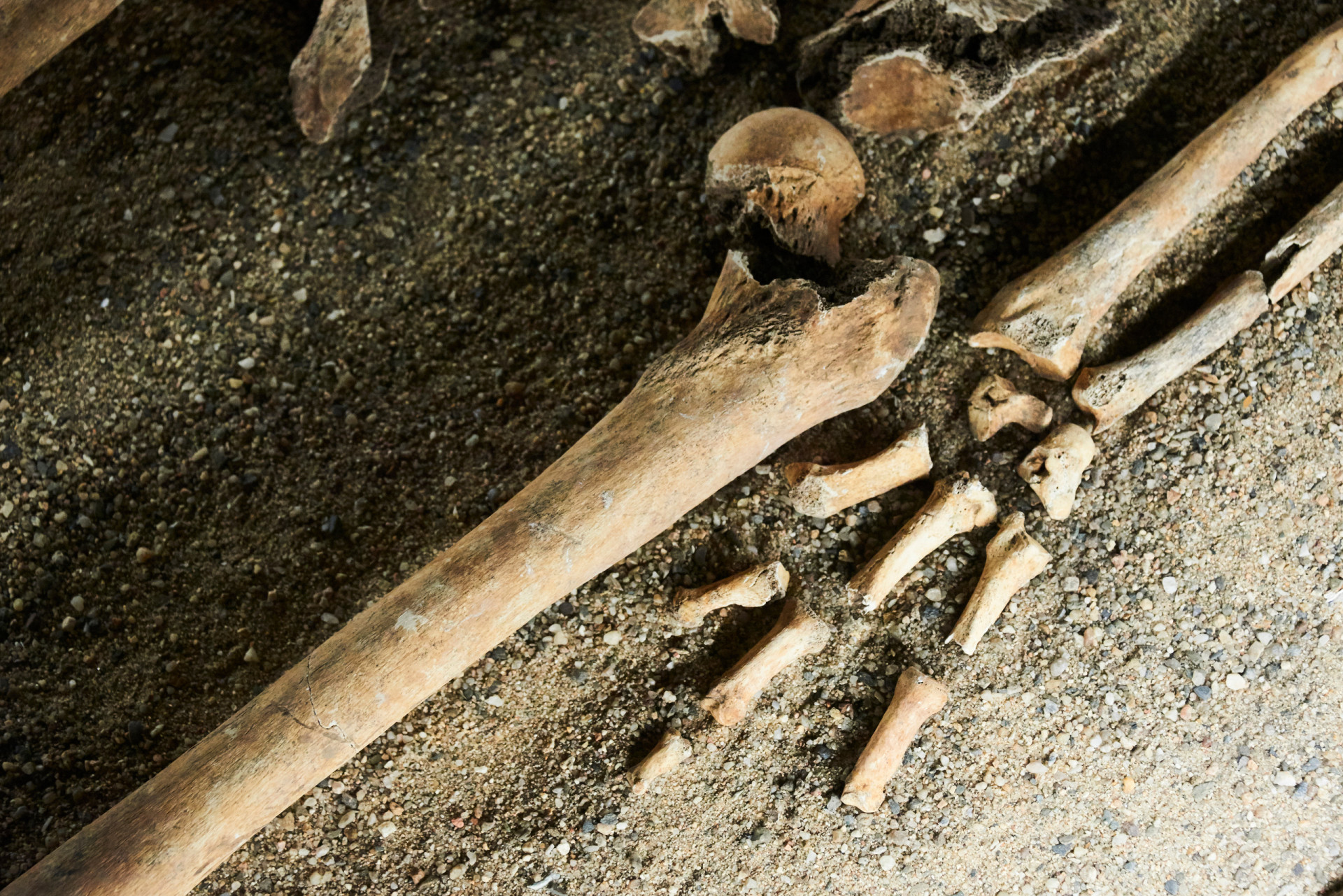 How do fossils form?