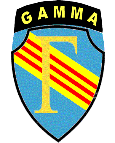 Project GAMMA and the killing that ended a Special Forces legend