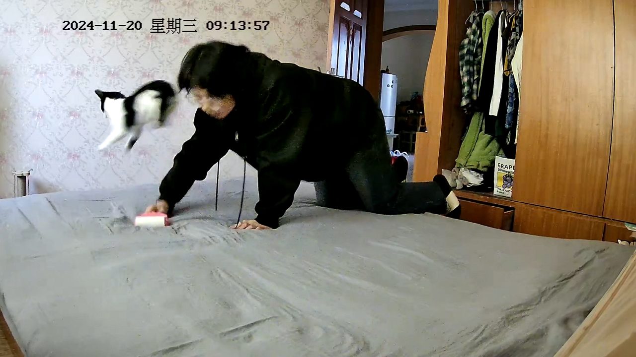 Cat accidentally hits owner in the face while playing on bed in Anhui ...