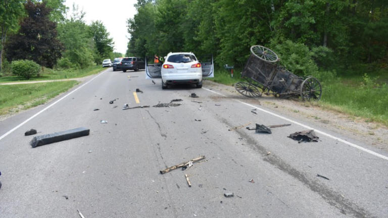 Horse killed, 11-year-old Amish child hospitalized in buggy crash