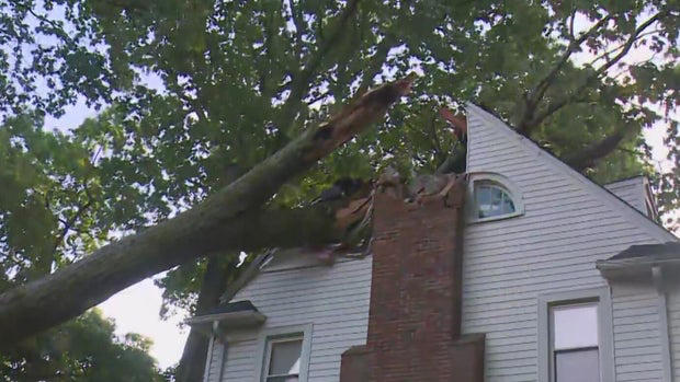 6-year-old girl rescued by father after tree falls on Dearborn home