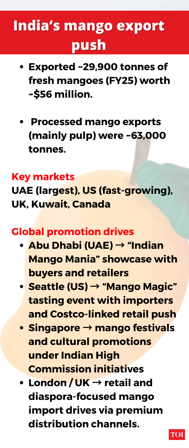 Can India become a mango export powerhouse? Opportunities, challenges ...