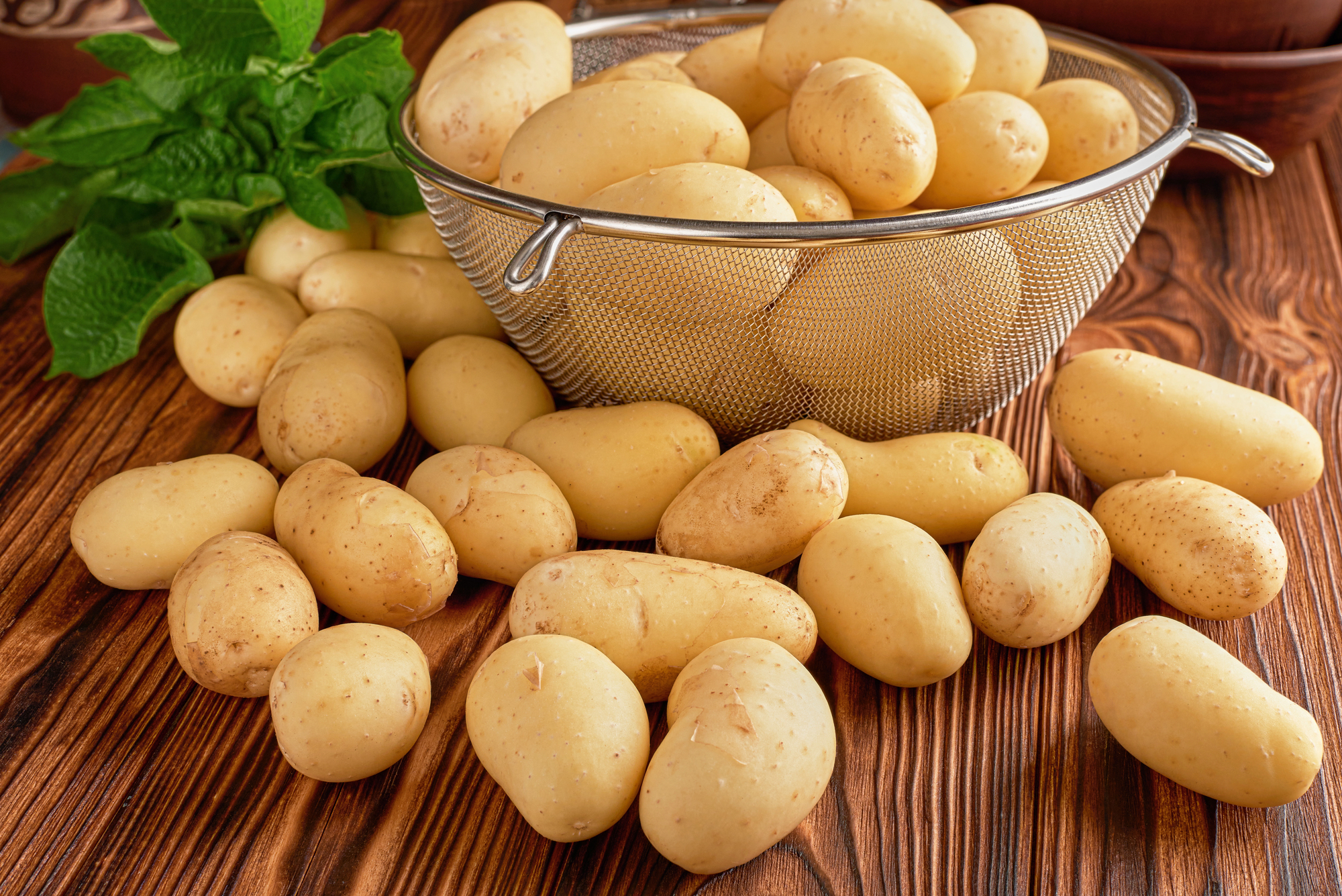 14 foods that were once considered poisonous and the people who proved ...