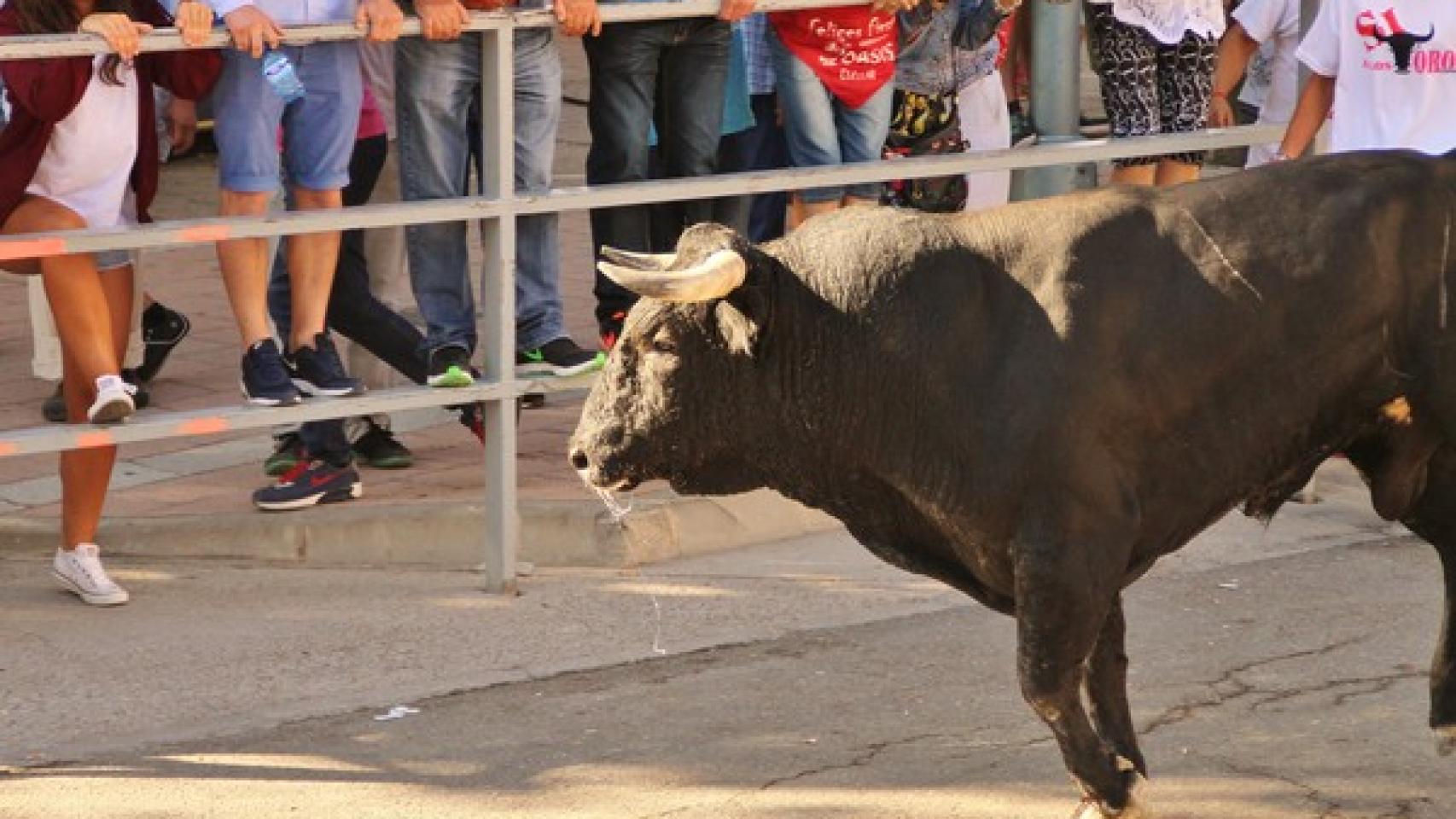 Herido grave un hombre de 45 años tras ser embestido por un toro en el ...