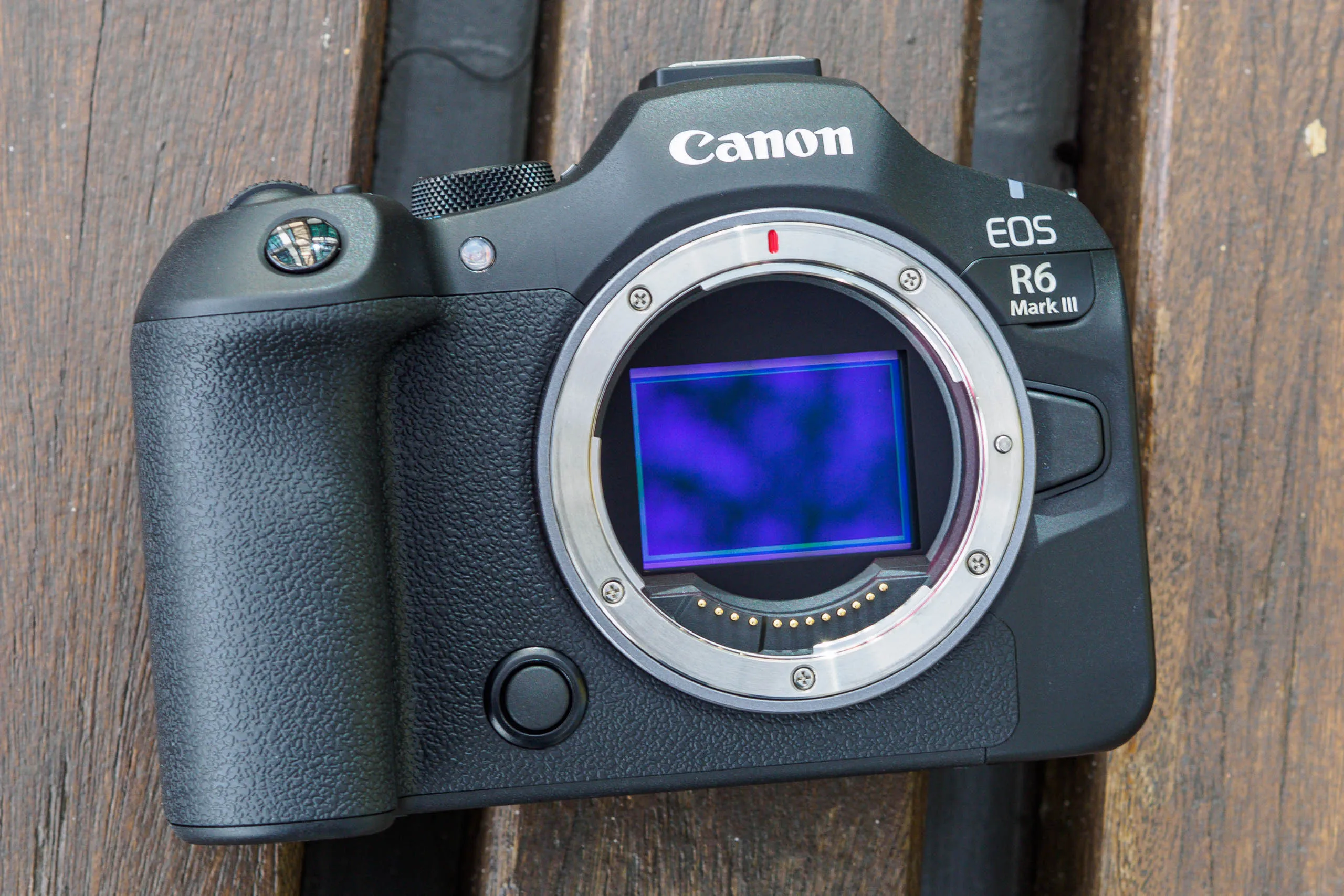 The best full-frame cameras to buy in 2026