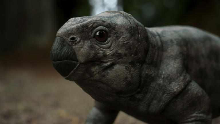 This is how you actually show 450 million years of extinction on screen