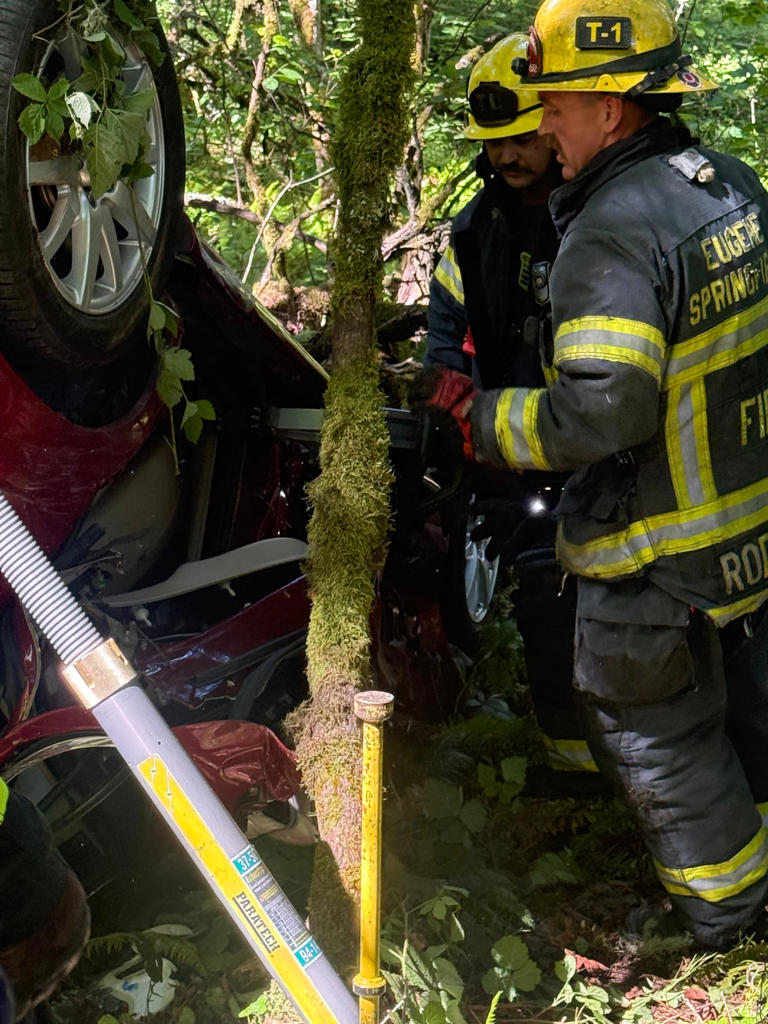 Smart watch alerts ESF to car crash that could have sparked wildfire