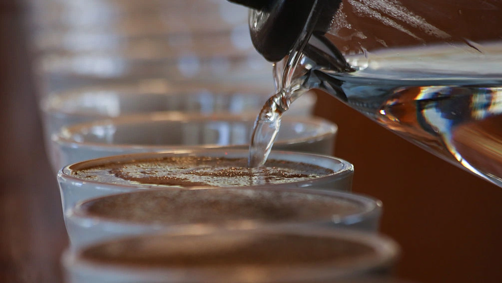 Brew coffee like a true pro at home