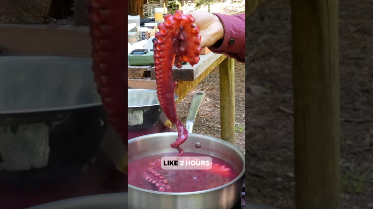I discovered the magic of octopus cooking 🐙