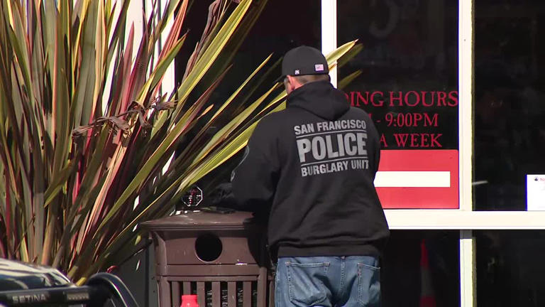 Fleeing Trader Joe's theft suspect killed, SFPD officers pinned by car