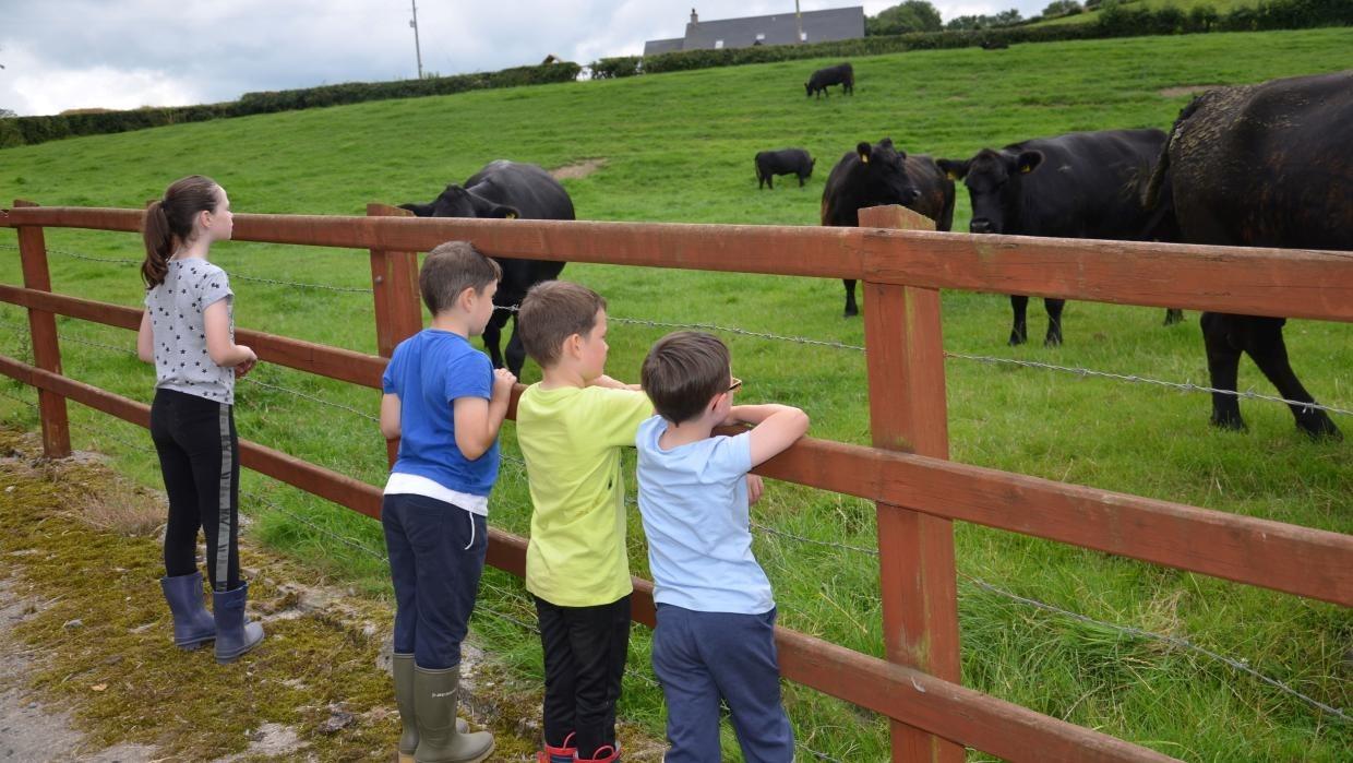 Visitors urged to stay safe during Open Farm Weekend