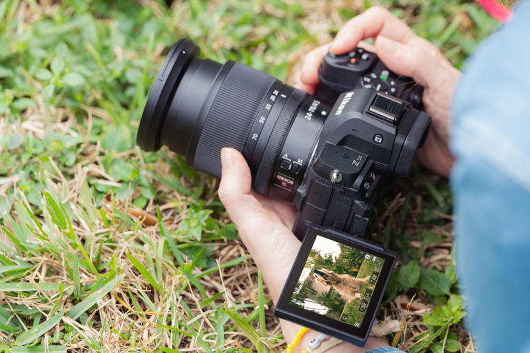 The best full-frame cameras to buy in 2026