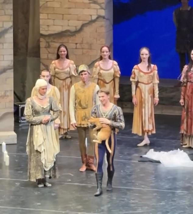 Where-fur art thou Romeo? Rogue cat plays with actor's hair during ...