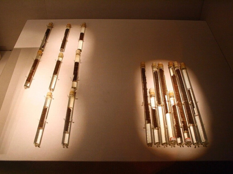 In 1972, archaeologists opened a Han tomb and found bamboo slips, and ...
