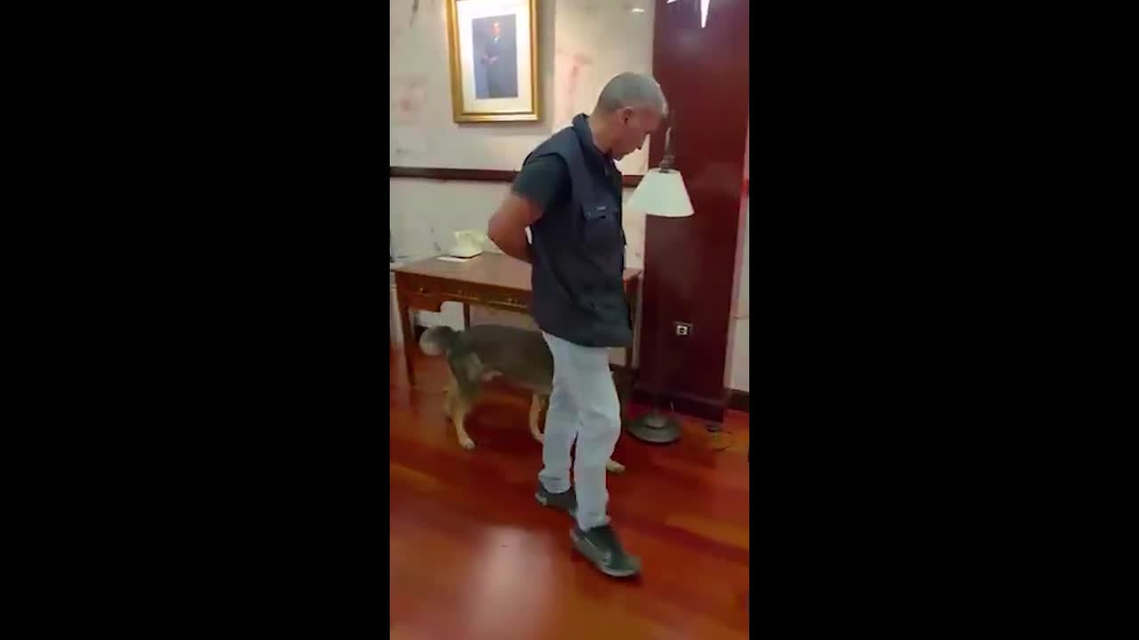 Police inspect airport with explosive detection dogs ahead of Pope Leo ...