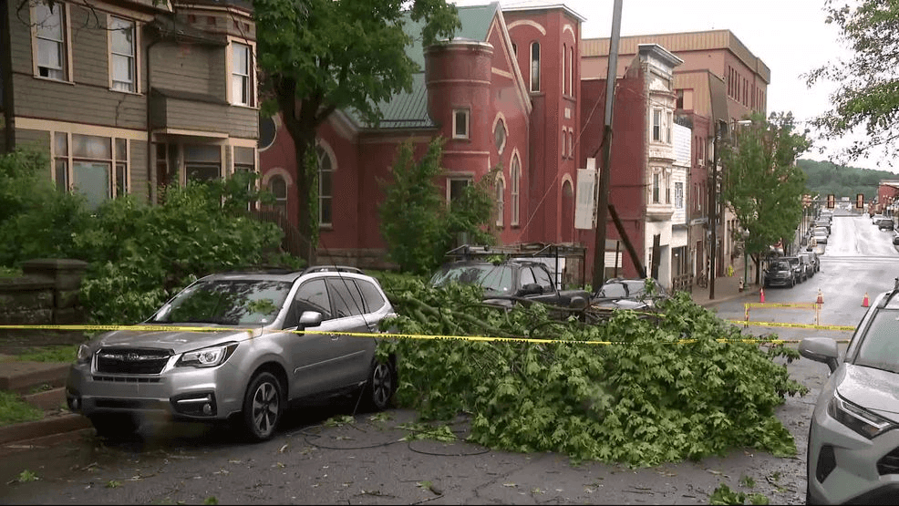 Storms down trees, power lines in Clearfield County, damaging vehicles ...