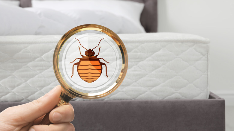 Here are the signs your mattress is too old
