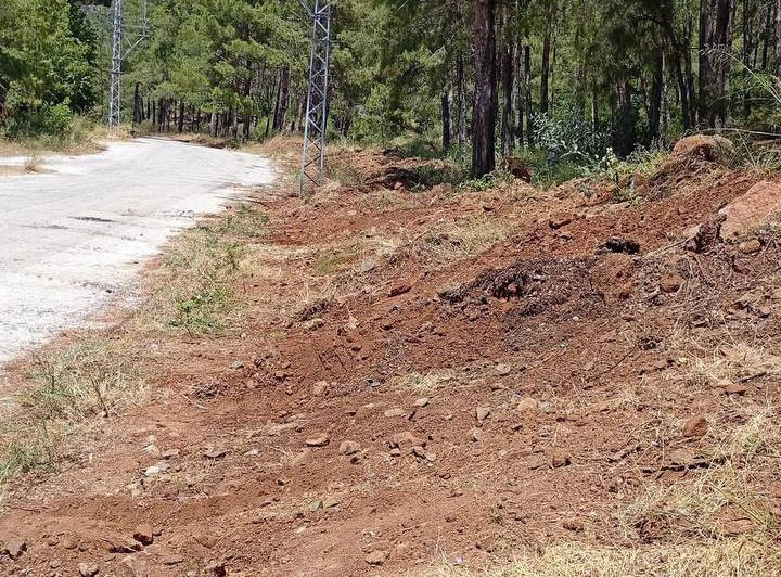 Marmaris’te orman yangınlarına karşı yol kenarlarında yoğun mesai