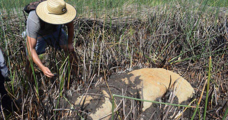 A new Easter Island moai statue has been discovered at the bottom of a ...