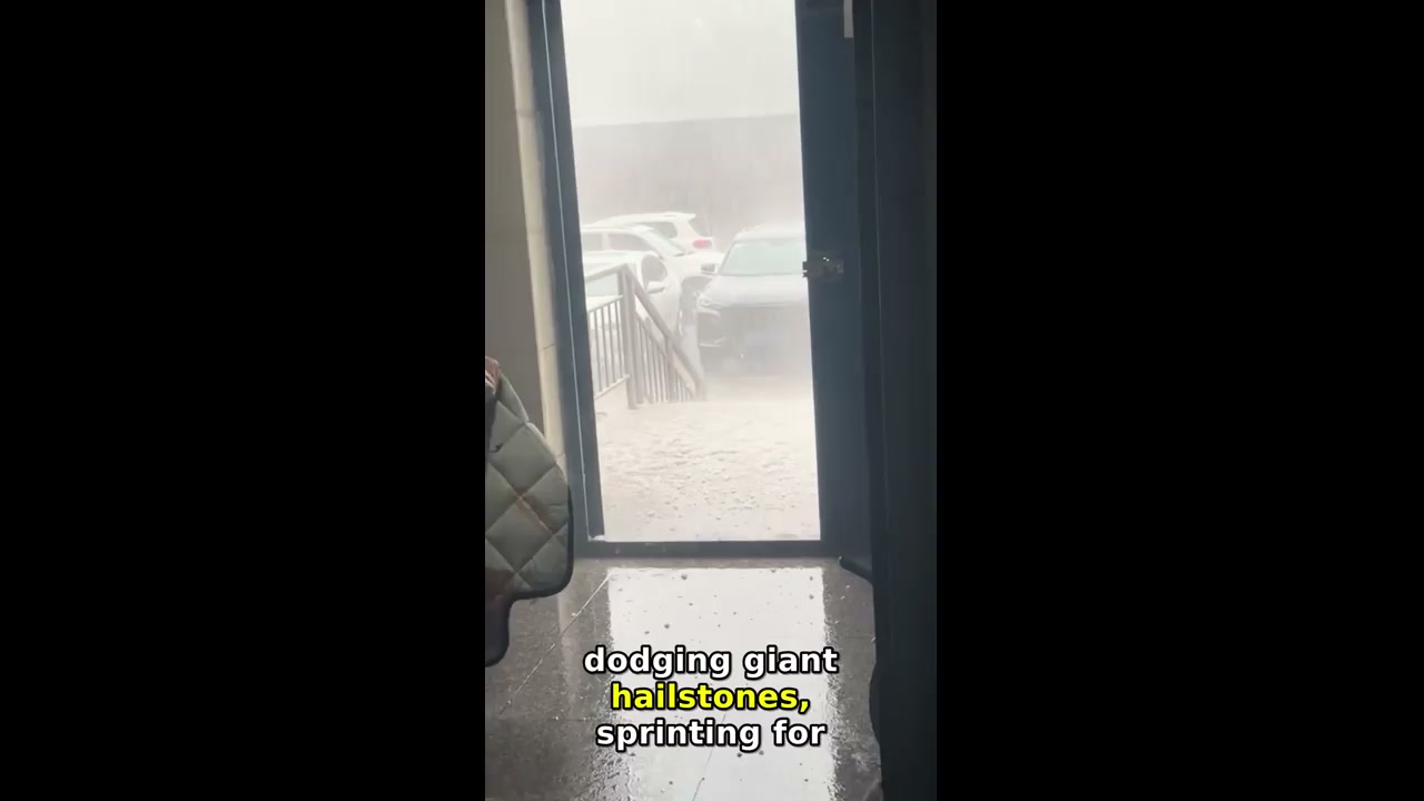 Cat makes a dash to safety during hailstorm in China