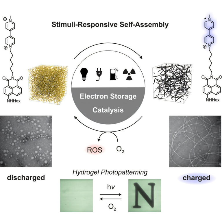 New cell-inspired material eliminates need for metals, plastics in ...