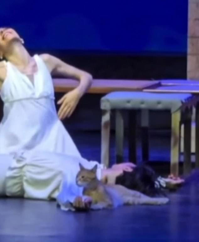 Where-fur art thou Romeo? Rogue cat plays with actor's hair during ...
