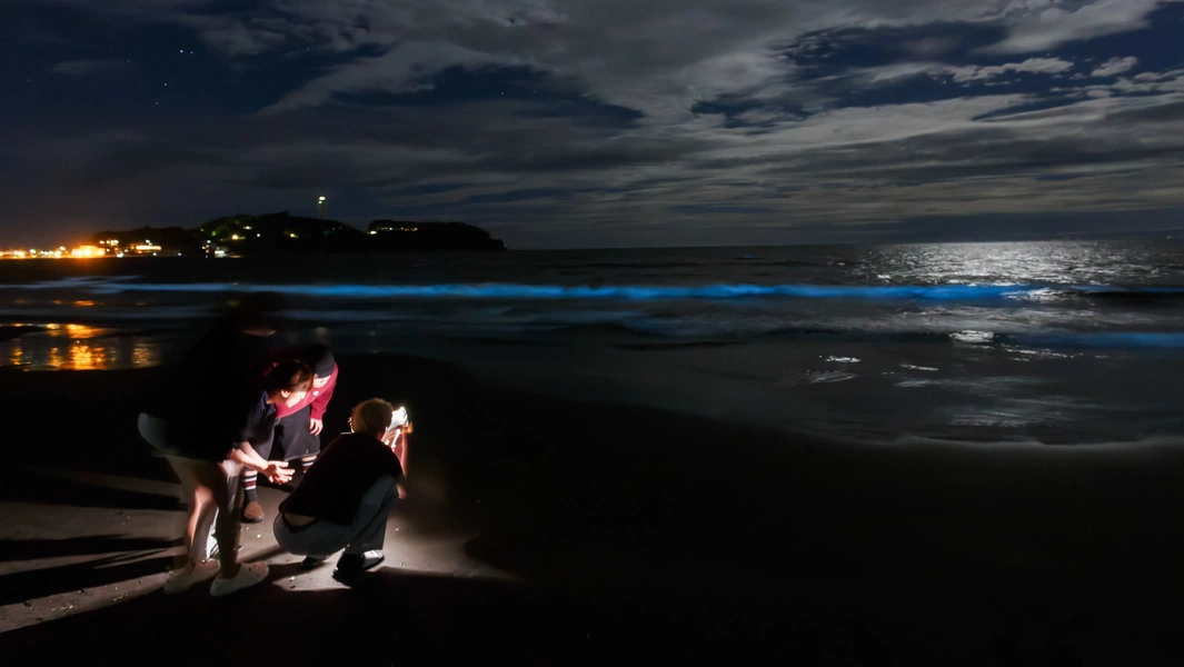 15 astonishing natural phenomena and environmental facts