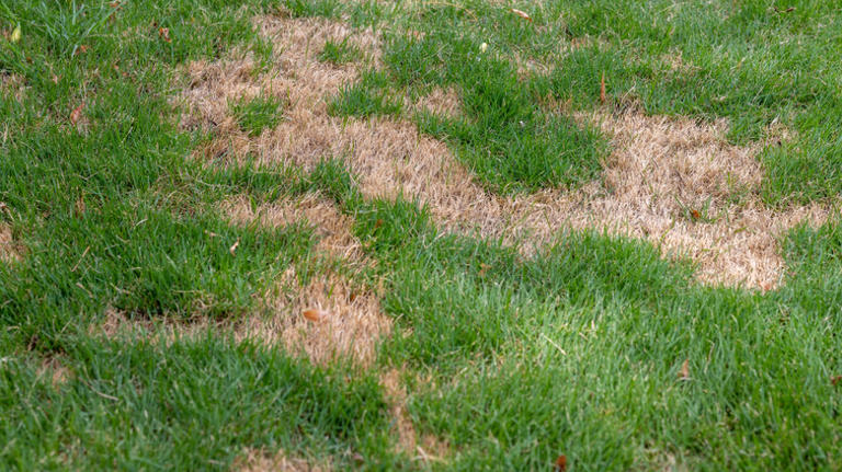 The lawn aeration trick that'll revive your patchy yard without pricey ...