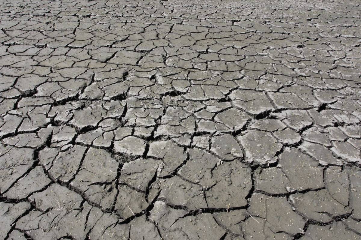 DA-Ilocos Region prepares for effects of El Niño