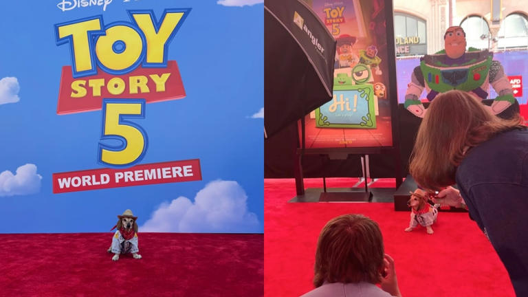 Lucas the dog fulfilled his dream of meeting Taylor Swift at the Toy ...