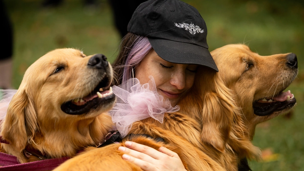 Understanding dogs’ reactions to hugs