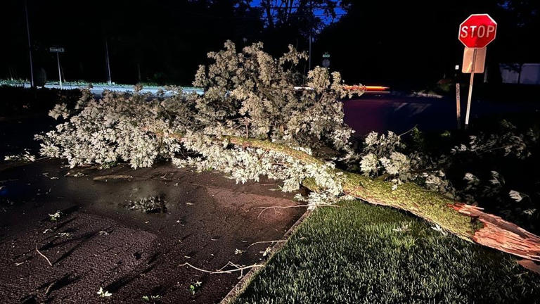 Severe weather leaves trees, power lines down in Elkhart