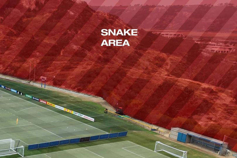 World Cup stars handed warning over lethal snake zone infesting ...