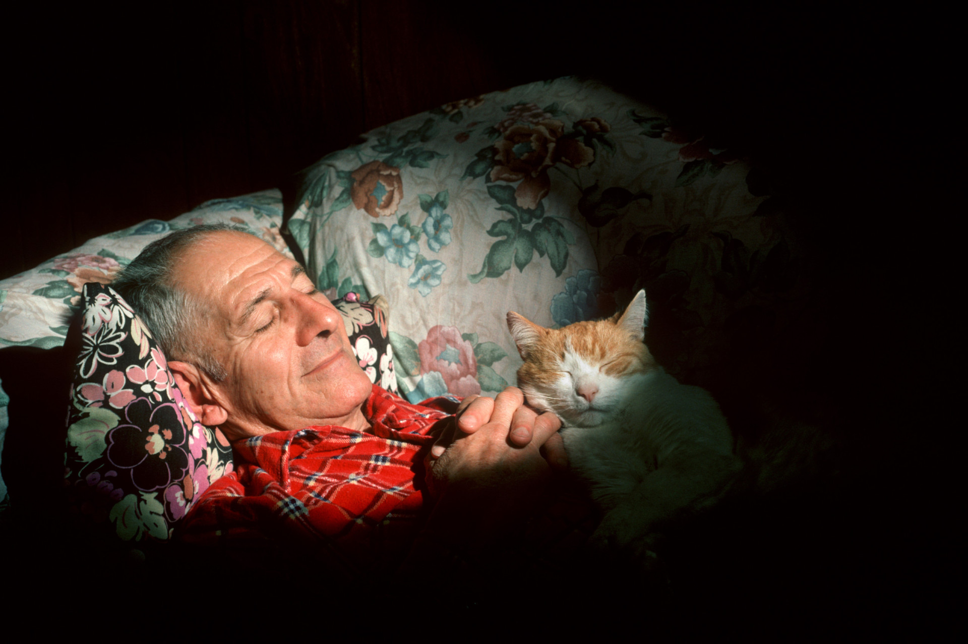 The best advice for anyone who lives alone