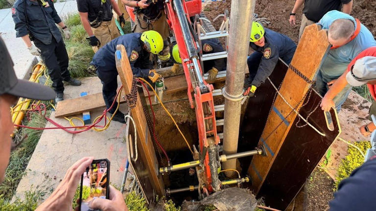 24-year-old worker critically injured after falling 9 feet down ...