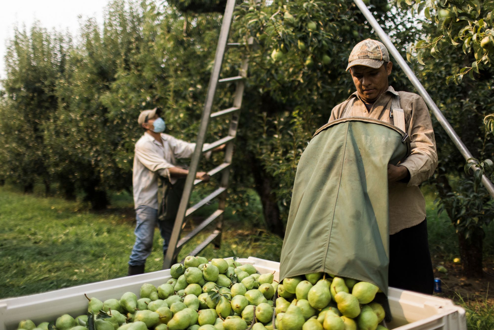 Got gas? These 3 surprising foods may be the culprits