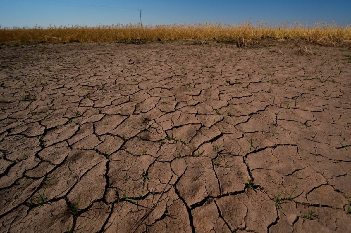 El Niño now here, could hit record intensity – US agency