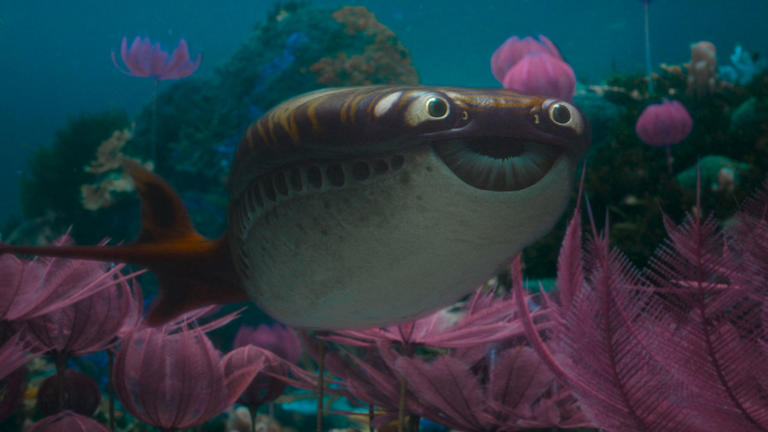 This is how you actually show 450 million years of extinction on screen