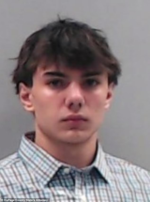 Pouty BMW-driving teen gets pre-trial release revoked for allegedly ...
